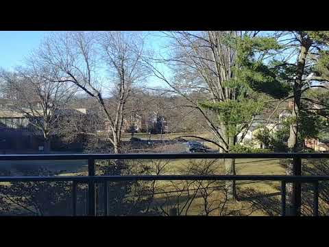 Bonus Video: View from The Robert Frost Library at Amherst College