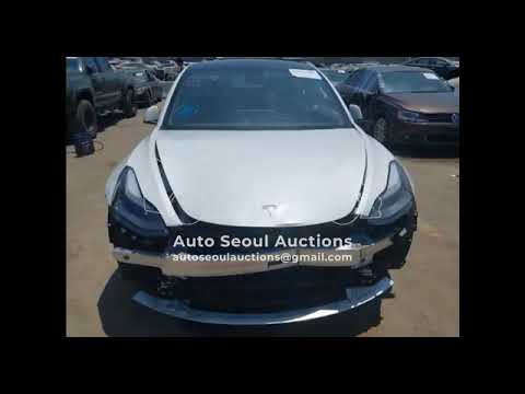 5YJ3E1EB5PF387347 TESLA MODEL 3 2023