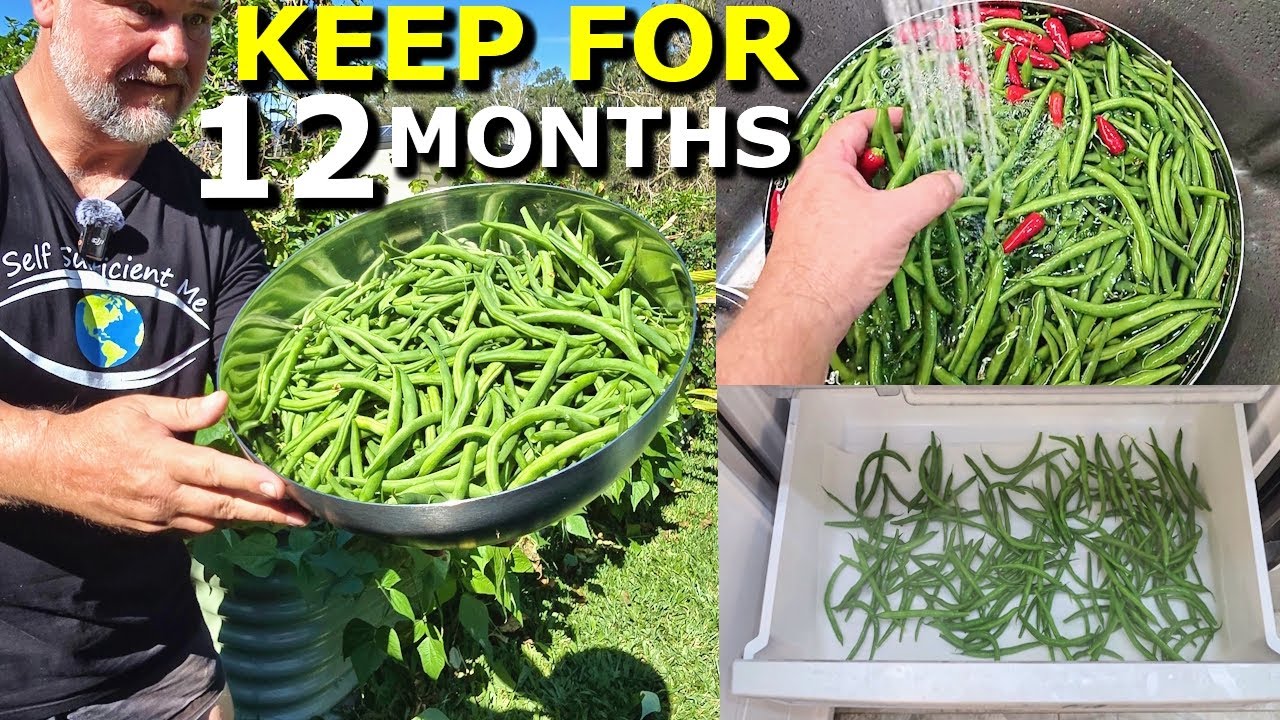 Stop WASTING Your Home-Grown Veggies DO THIS Instead