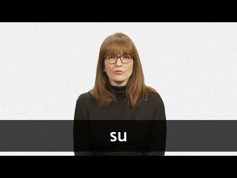 English Translation of “SU” | Collins Spanish-English Dictionary