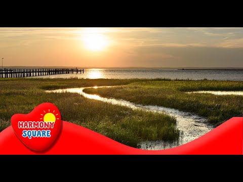 Marsh - More Science on the Learning Videos Channel