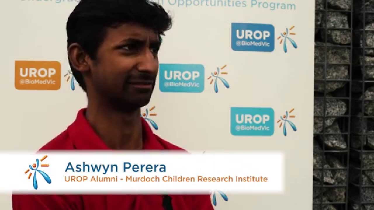 UROP - What is UROP?