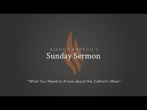 What You Need to Know about the Catholic Mass — Bishop Barron’s Sunday Sermon