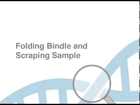 Folding a Paper Bindle and Scraping Sample