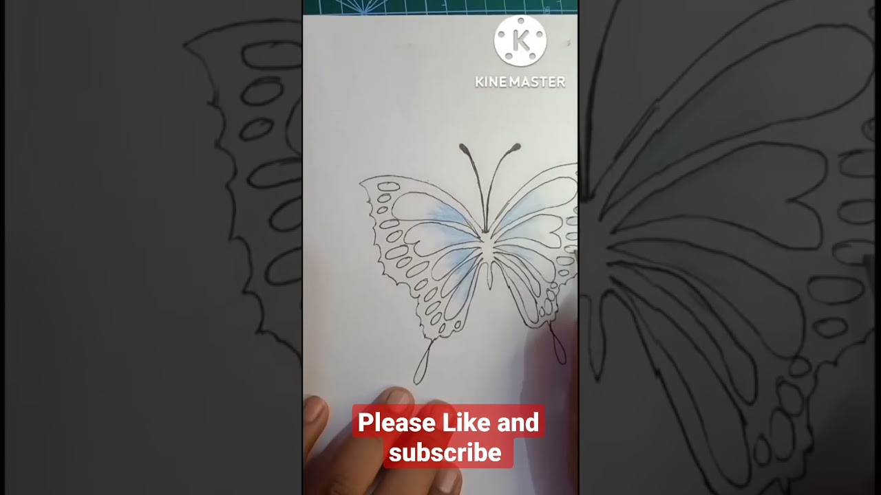 Butterfly drawing | Easy Butterfly Drawing