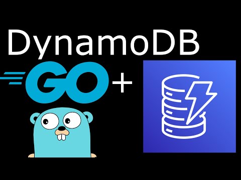 Introduction to the DynamoDB SDK in Golang