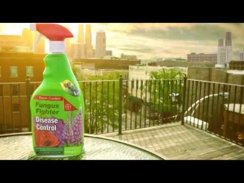 Bayer Garden Ready to Use Sprays