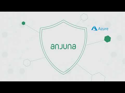 Anjuna Security and Secure Enclaves Explained