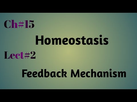 Feedback mechanism in detail| Ch#15| F.sc biology