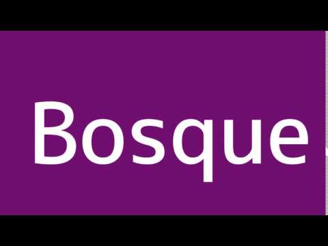 How to say Forest in Spanish