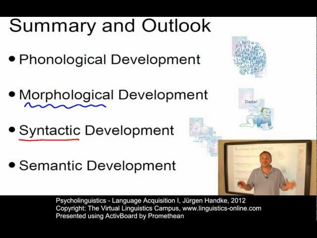 Understanding Language Acquisition: Stages and Cognitive Implications ...