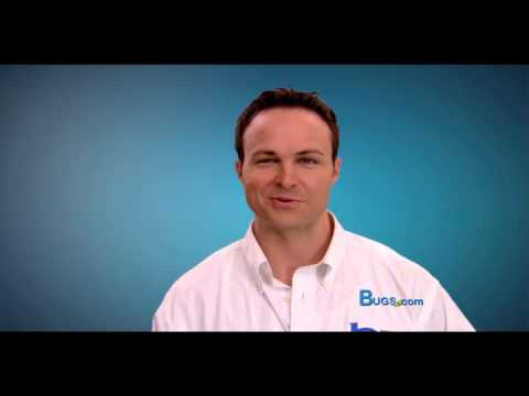 How to Kill Bugs | Hulett Environmental Services