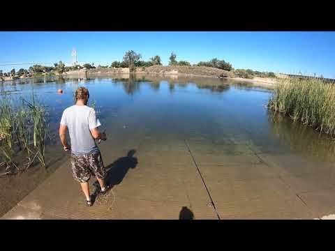 Surprise Catch Rare Mean Mouth Bass