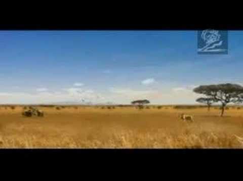 Olympus Camera Commercial