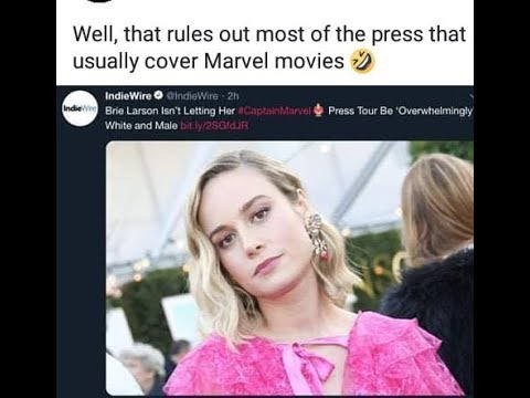 BRE LARSON DESTROYING MCU FOR US