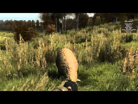 Steam Community :: Video :: DayZ! Prone EVERYWHERE!
