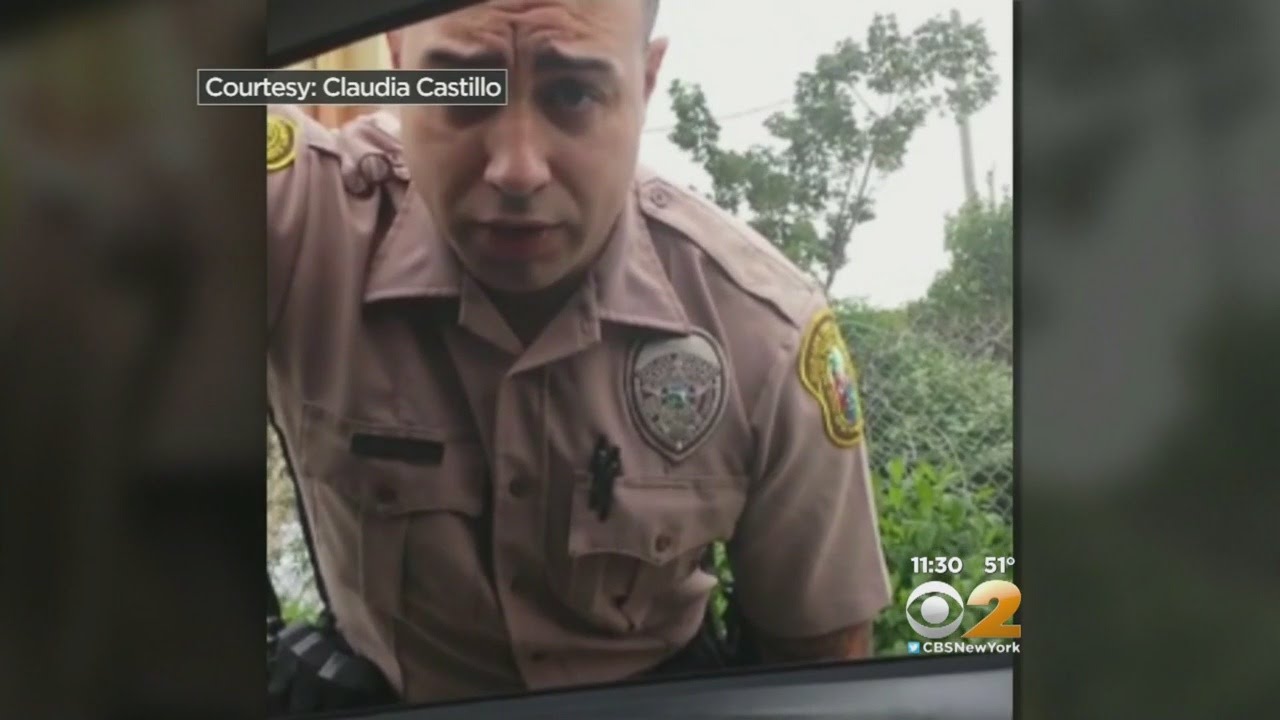 Driver Pulls Over Cop