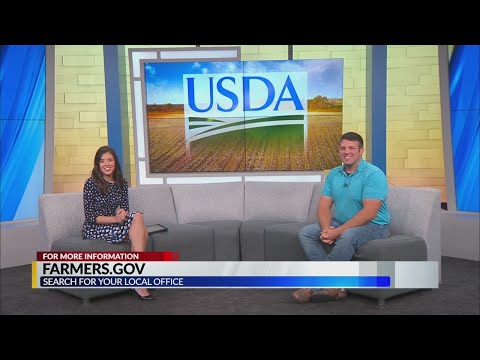 USDA Livestock Indemnity Program