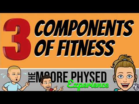 3 Components of Fitness - The Moore Physed Experience