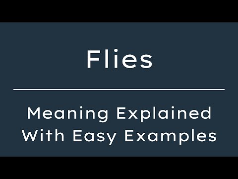 What Does Flies Mean? Flies Meaning in English With 5 Example Sentences