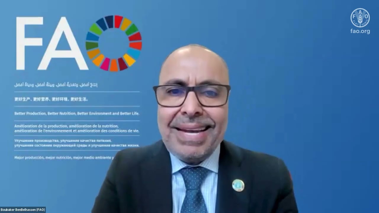 Trade Policy Briefs: FAO's support to the WTO negotiations at the 14th Ministerial Conference