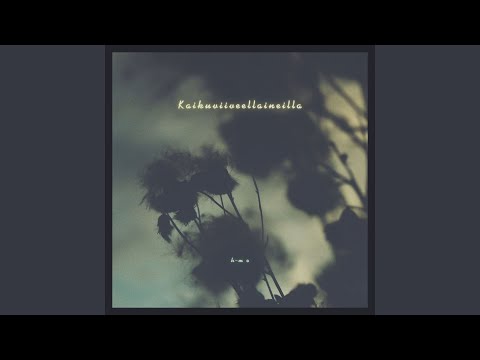 Huumaauus