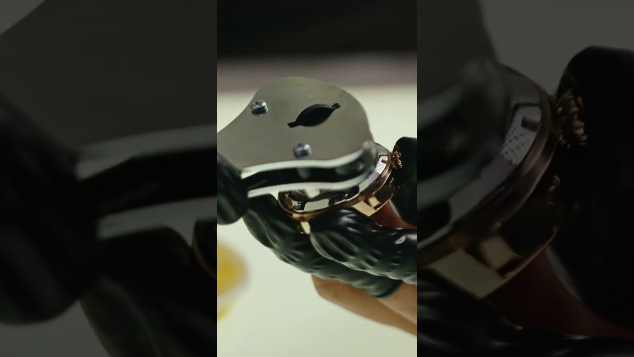 The RSGB02 calibre developed in partnership with Seagull