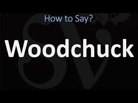How to Pronounce Woodchuck? (CORRECTLY)