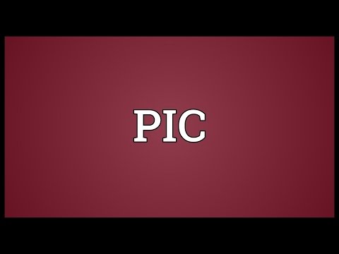 PIC Meaning