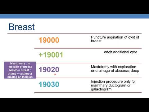 CPT CODING GUIDELINES FOR SURGERY INTEGUMENTARY SYSTEM PART 2A BREAST