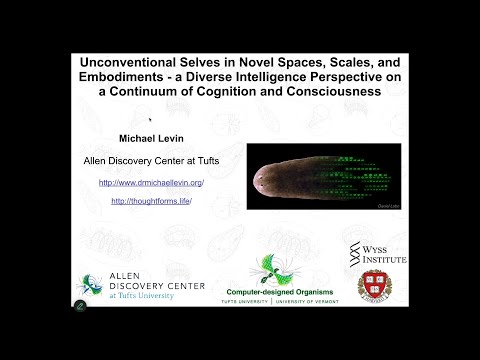 A diverse intelligence perspective on consciousness. Michael Levin ...