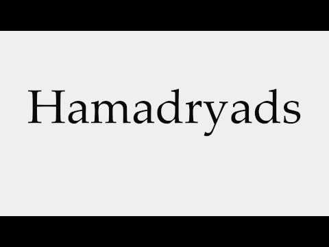 How to Pronounce Hamadryads