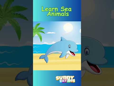 ???? Let's Learn Sea Animals! ???? | Fun & Educational Shorts for Kids | Sunny Rhymes ???? #sunnyrhymes