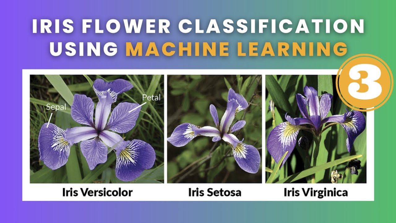 Iris Flower Classification - Part 3 | Data Science | Machine Learning | Python | 2023