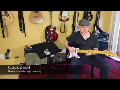 Joe Gore - Purr Vibrato | Reverb