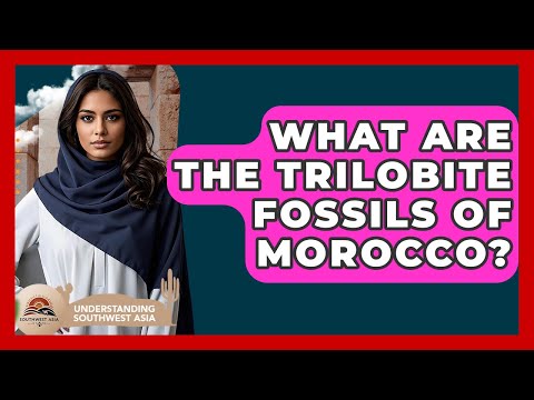 What Are The Trilobite Fossils Of Morocco? - Understanding Southwest Asia