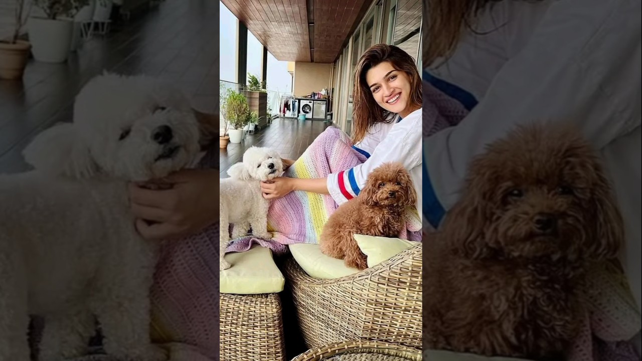 bollywood celebrities With their pet 🐶 🐕 #kirtisanon #aliabhatt #bollywood #mostpopular #shortsvira