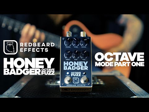 Honey Badger Octave Fuzz 2020s - Black/Gold | Reverb