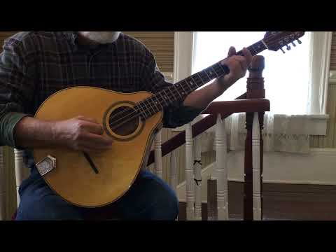 Beard Octave Mandolin | Reverb