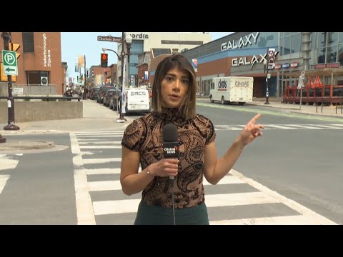 Anchor/Reporter Reel Nov 2023 - Noor Ra'fat Ibrahim