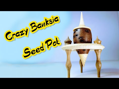 How to Make a Pot from a Banksia Pod
