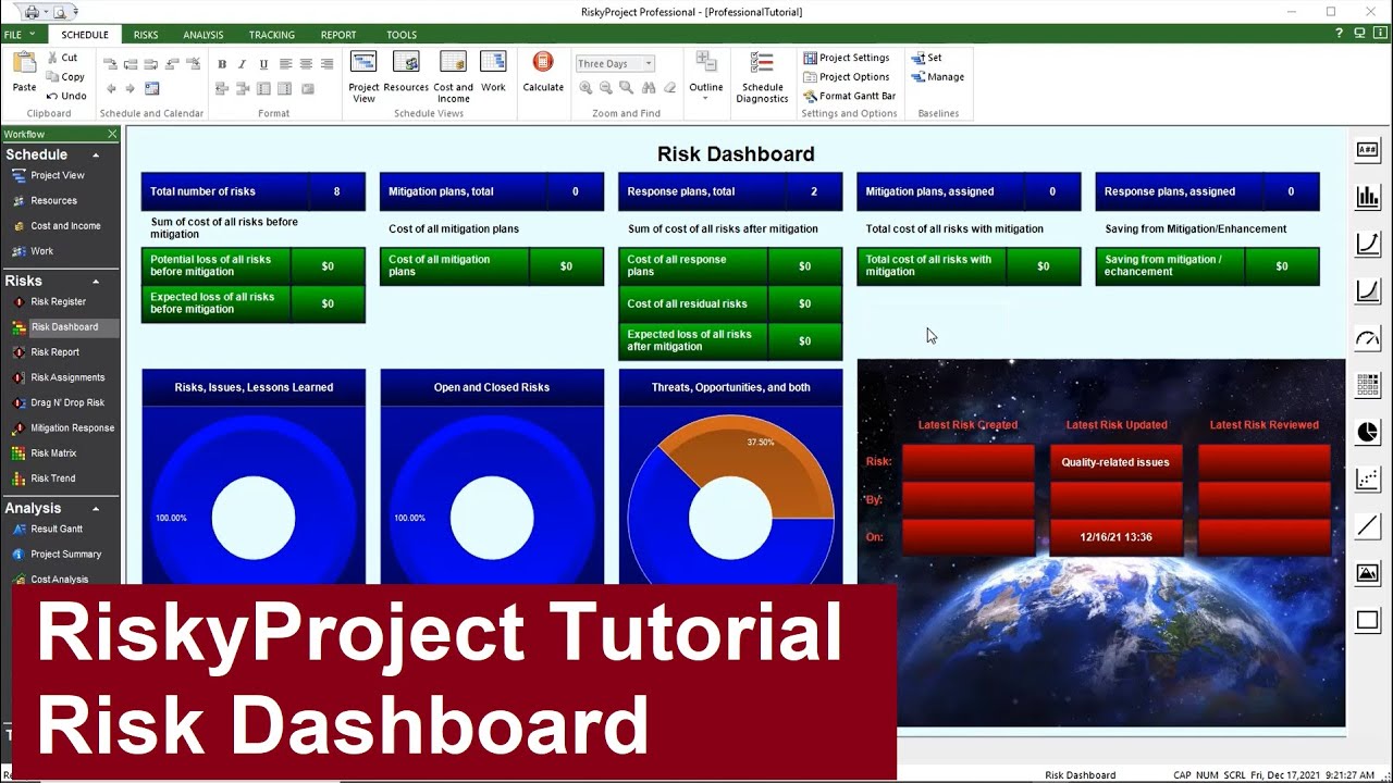 RiskyProject Tutorial: Risk Dashboard