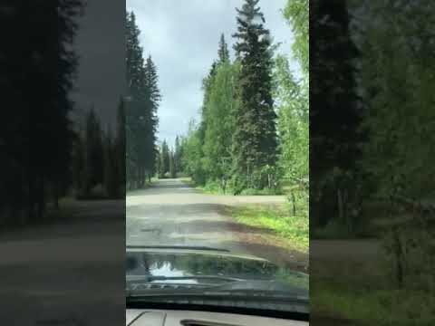 Harding Lake State Recreation Area, AK | The Dyrt