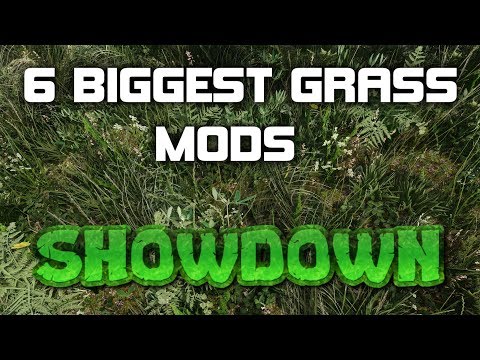 The Great Grass Showdown! SKYRIM SE 2019 | 6 of the BEST Grass Mods Compared | 2K