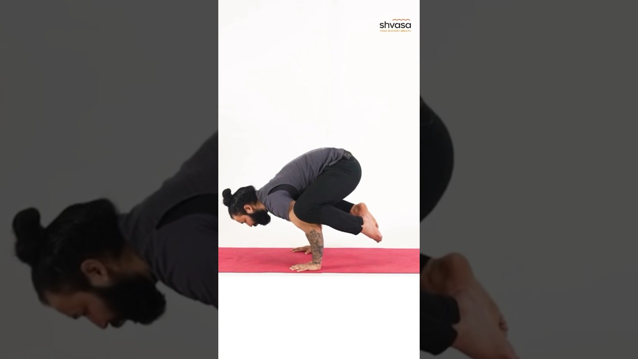 How to Practice Crow Pose. #crowpose #kakasana