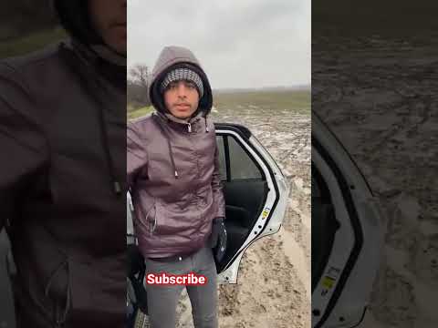 Austria 🇦🇹 Donkey video / #shorts #shortsviral #donkey #austria #usa
