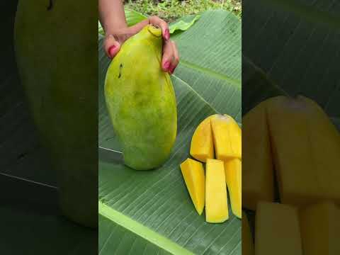 Big Mango #mango