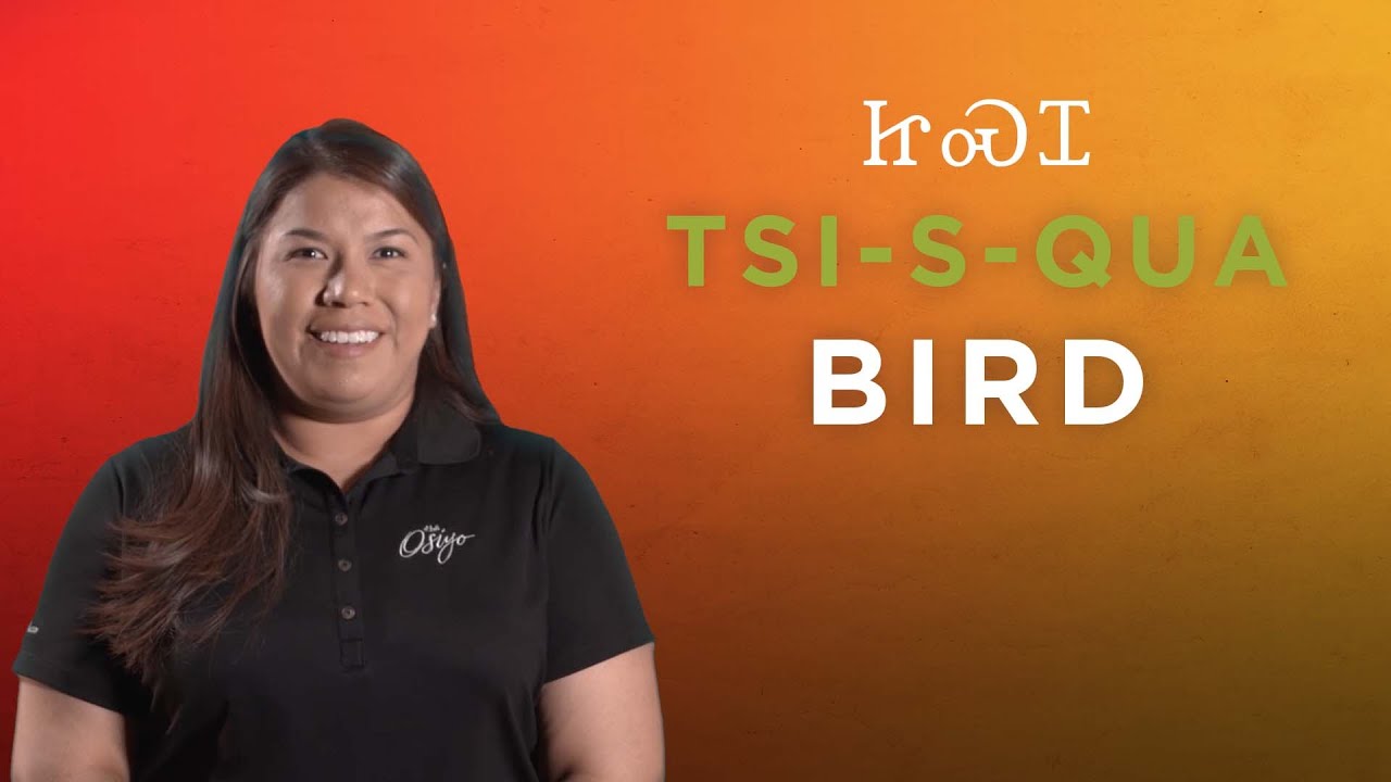 Cherokee Word of the Week: Bird