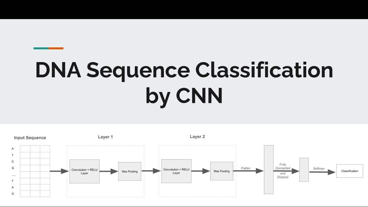 Deep Learning DNA Sequence Classification by CNN