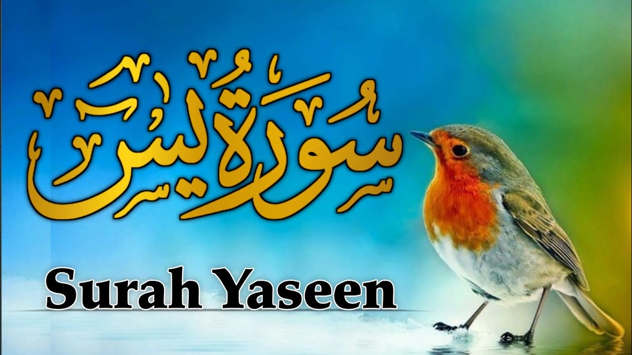 Surah Yasin Yaseen Full With Arabic Beautiful recitation یس سورہ 36 Qari